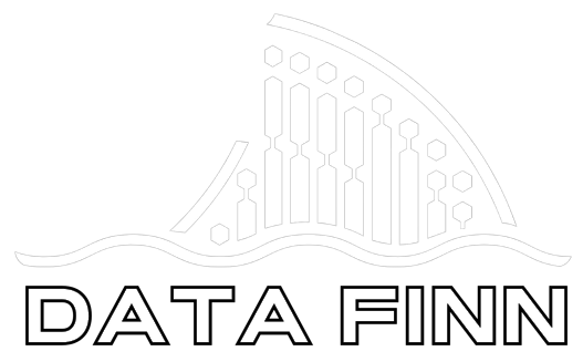 About – Data Finn